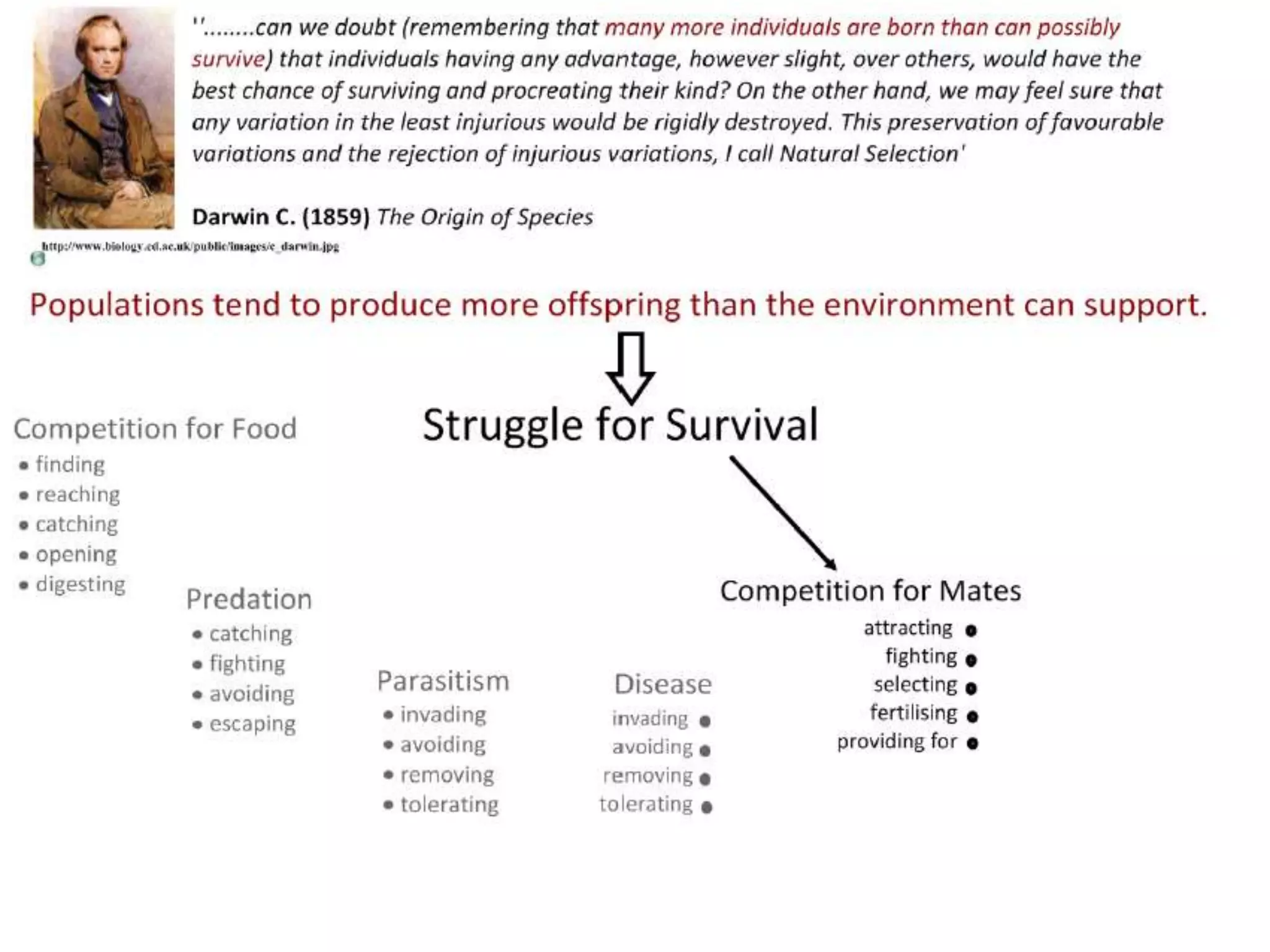 IB Biology 5.1-5.2 Slides: Evolution & Natural Selection | PPTX