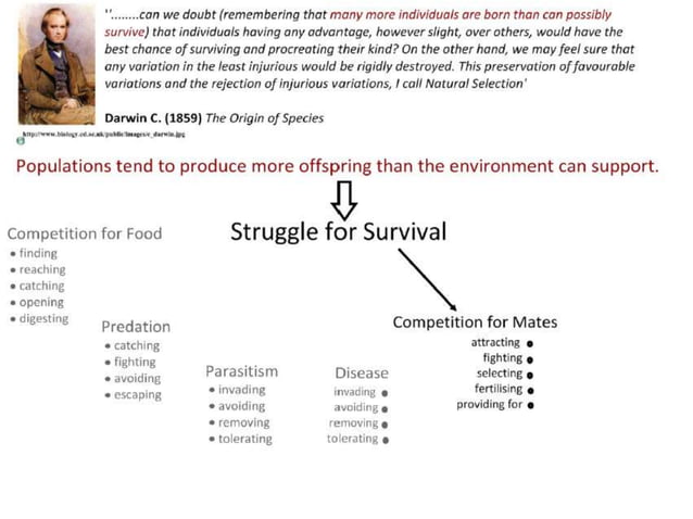 IB Biology 5.1-5.2 Slides: Evolution & Natural Selection | PPTX