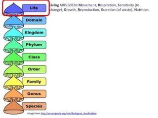 Genus Biology