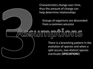 IB Biology 5.4 Slides: Cladistics | PPTX