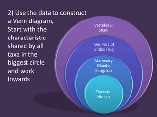 Cladistics Biology