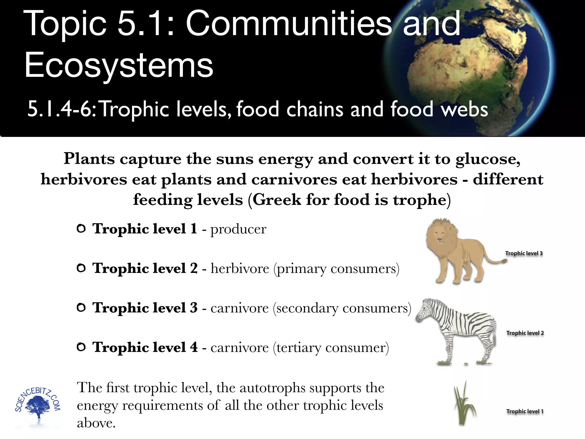 IB Biology 5.1 communites and ecosystems | PDF