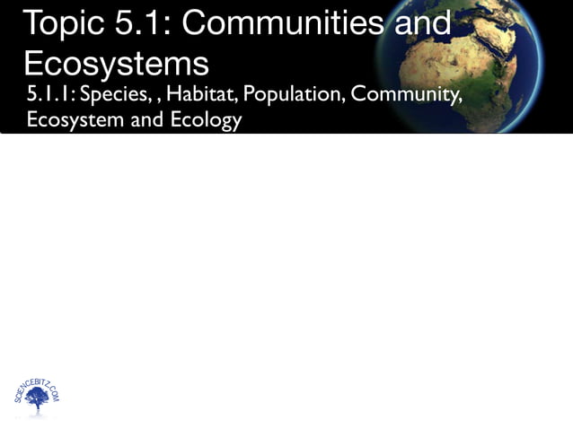 IB Biology 5.1 communites and ecosystems | PDF