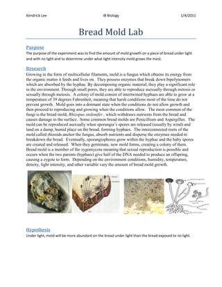 Bread Mold Experiment