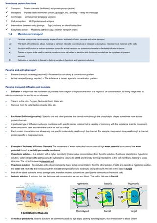 IB Biology Notes | PDF