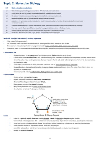 IB Biology Notes | PDF