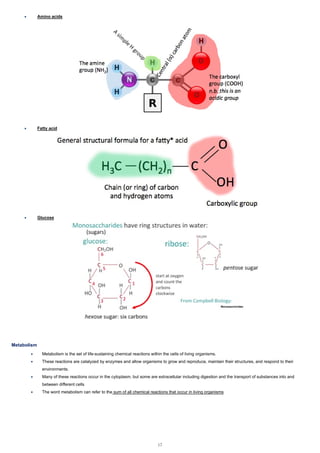 IB Biology Notes | PDF