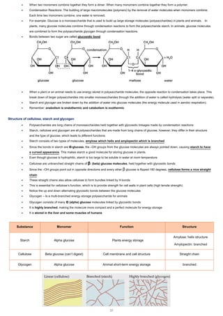 IB Biology Notes | PDF
