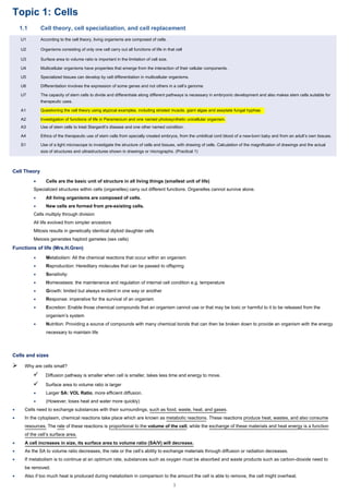 IB Biology Notes | PDF