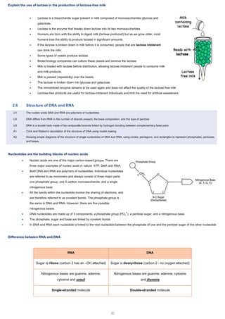 IB Biology Notes | PDF