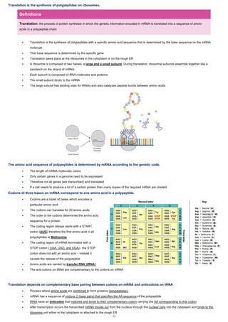 IB Biology Notes | PDF