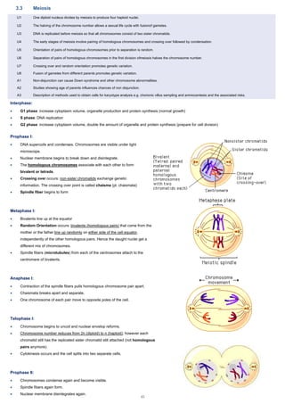 IB Biology Notes | PDF
