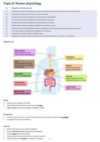 IB Biology Notes | PDF