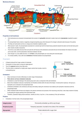IB Biology Notes | PDF