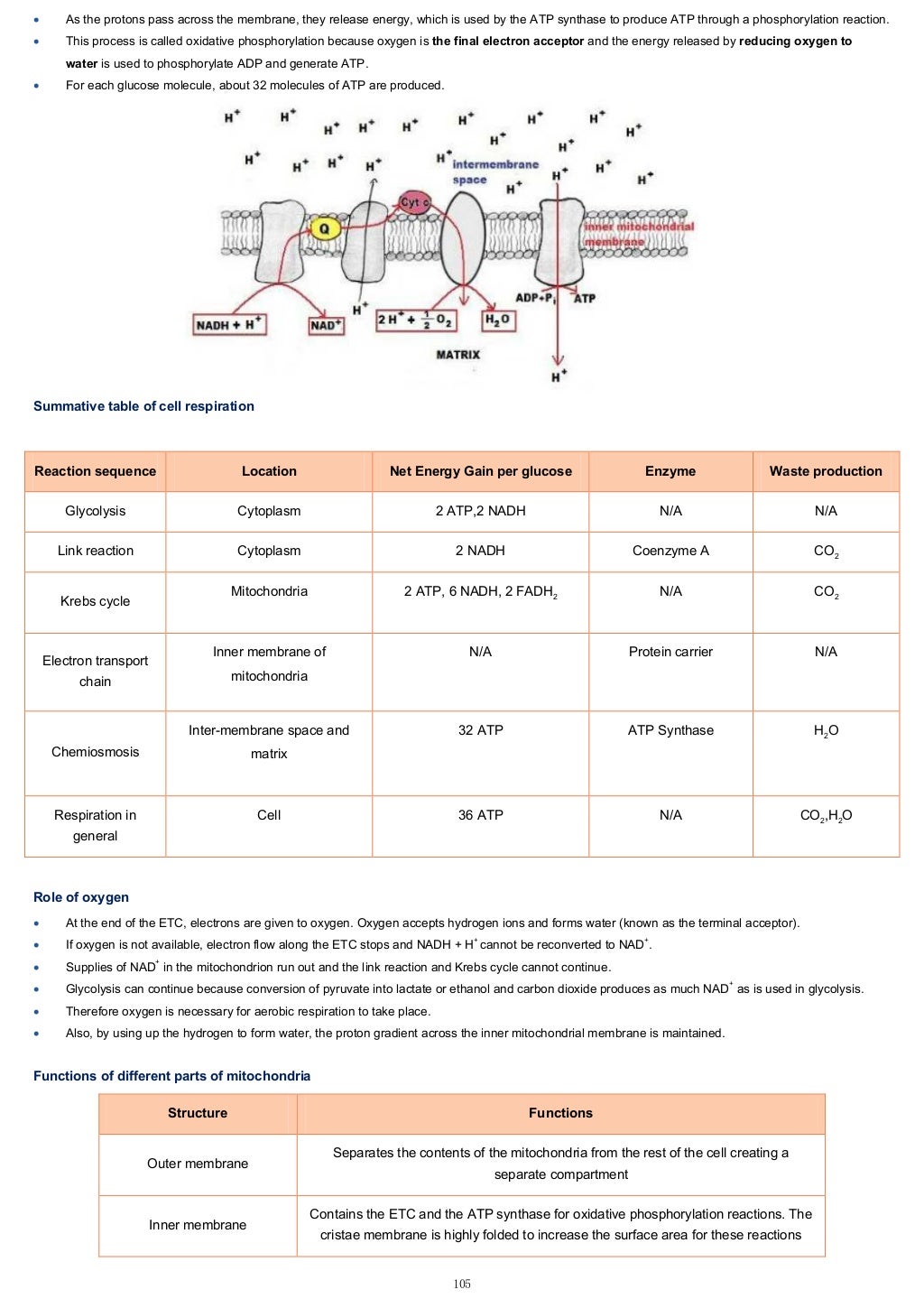 IB Biology Notes ib-biology-notes