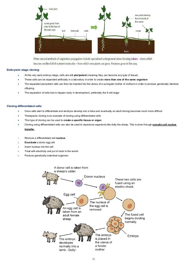 IB Biology Notes ib-biology-notes