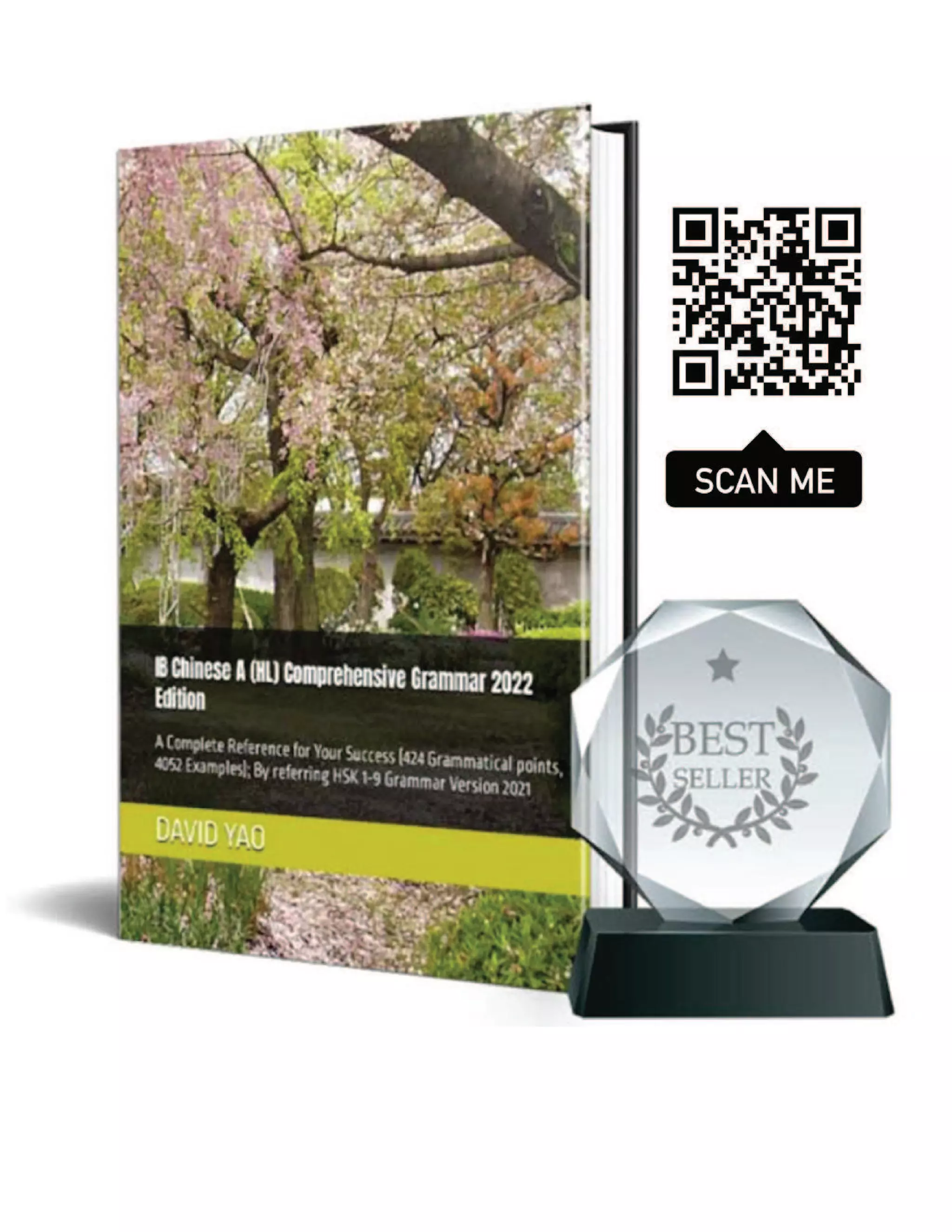 IB Chinese A (HL) Grammar 2022 Edition Sample.pdf