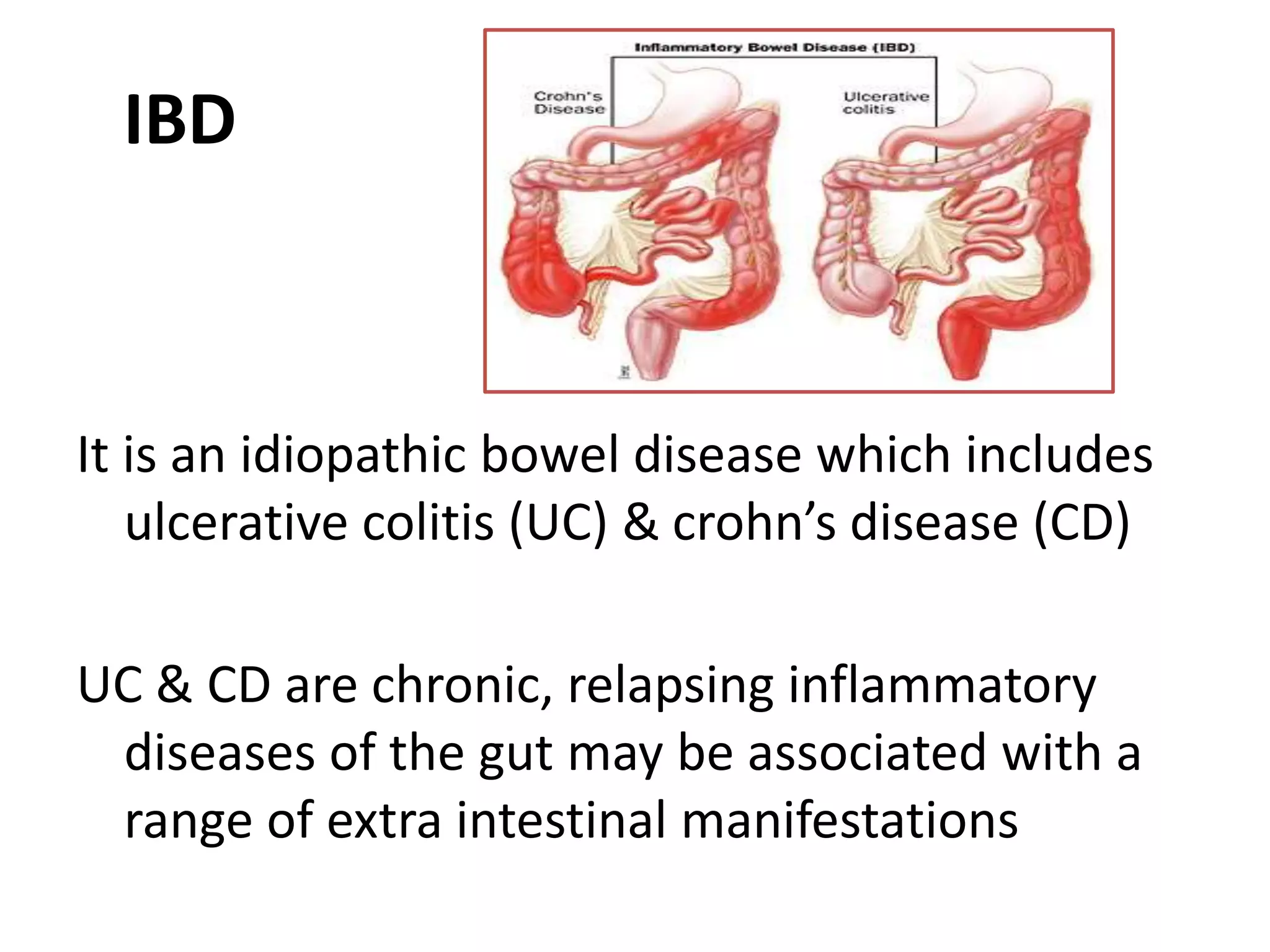 Inflammatory Bowel Disease | PPT | Digestive Disorders | Diseases and ...