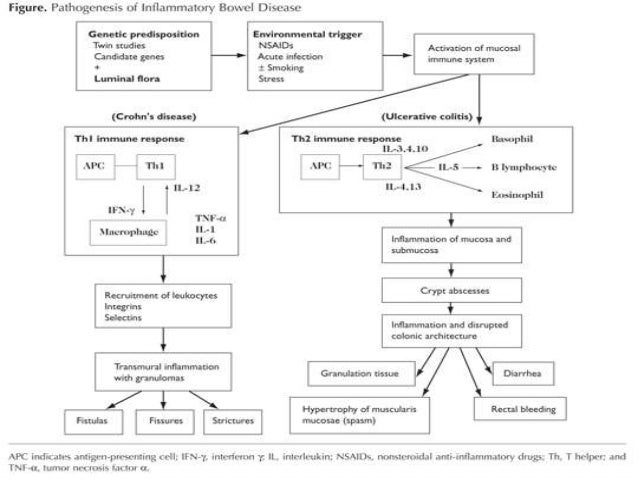 Inflammatory Bowel Disease