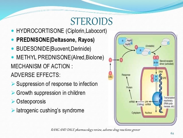 Inflammatory Bowel Disease