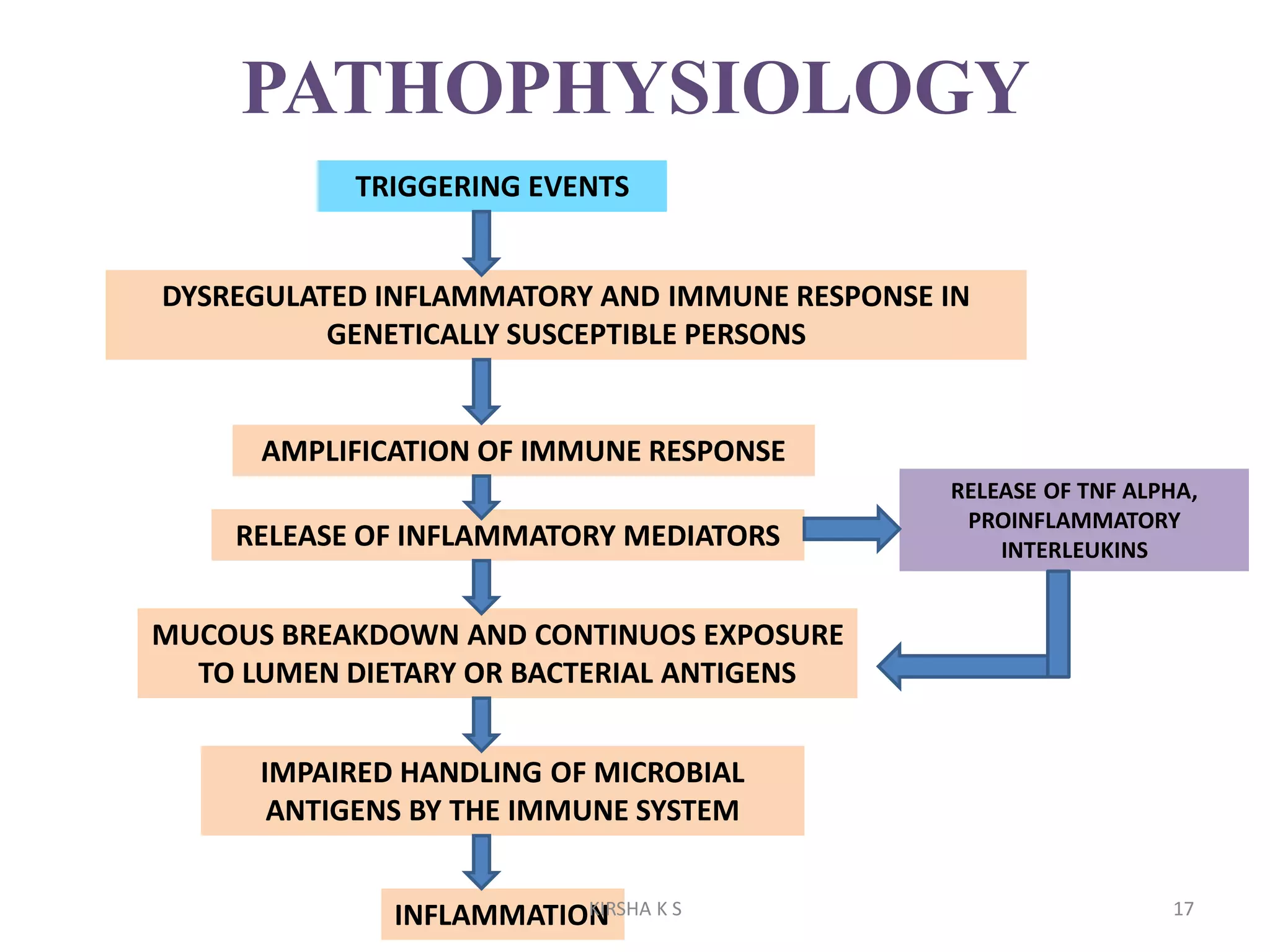 Inflammatory Bowel Disease | PDF