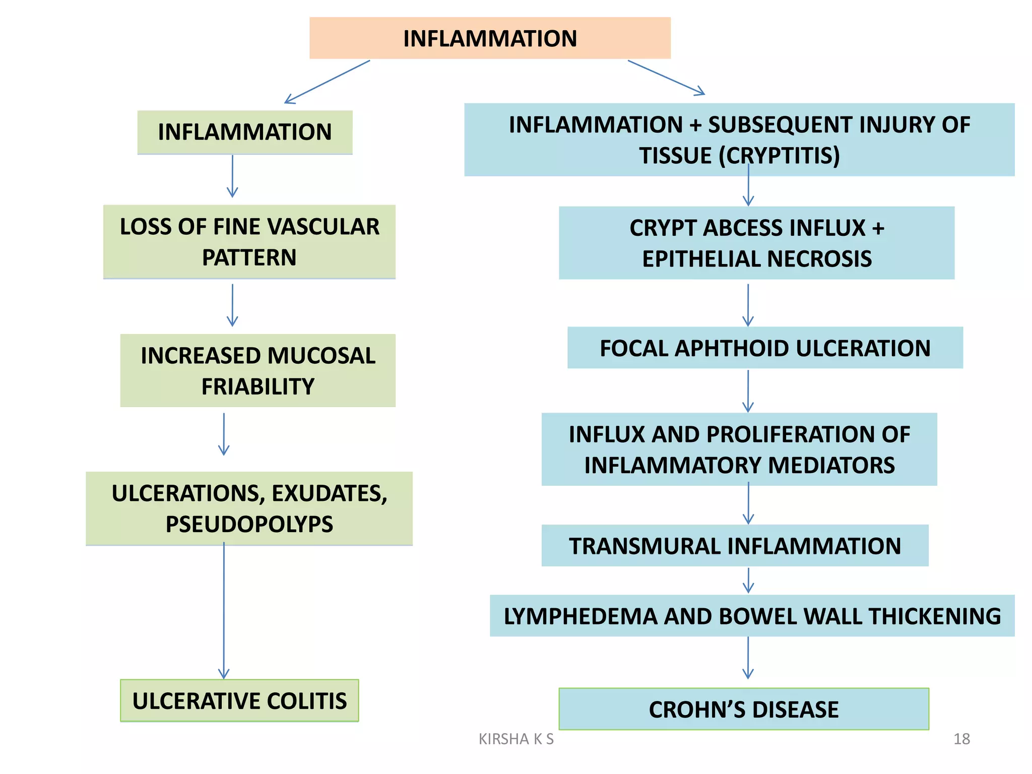 Inflammatory Bowel Disease | PDF