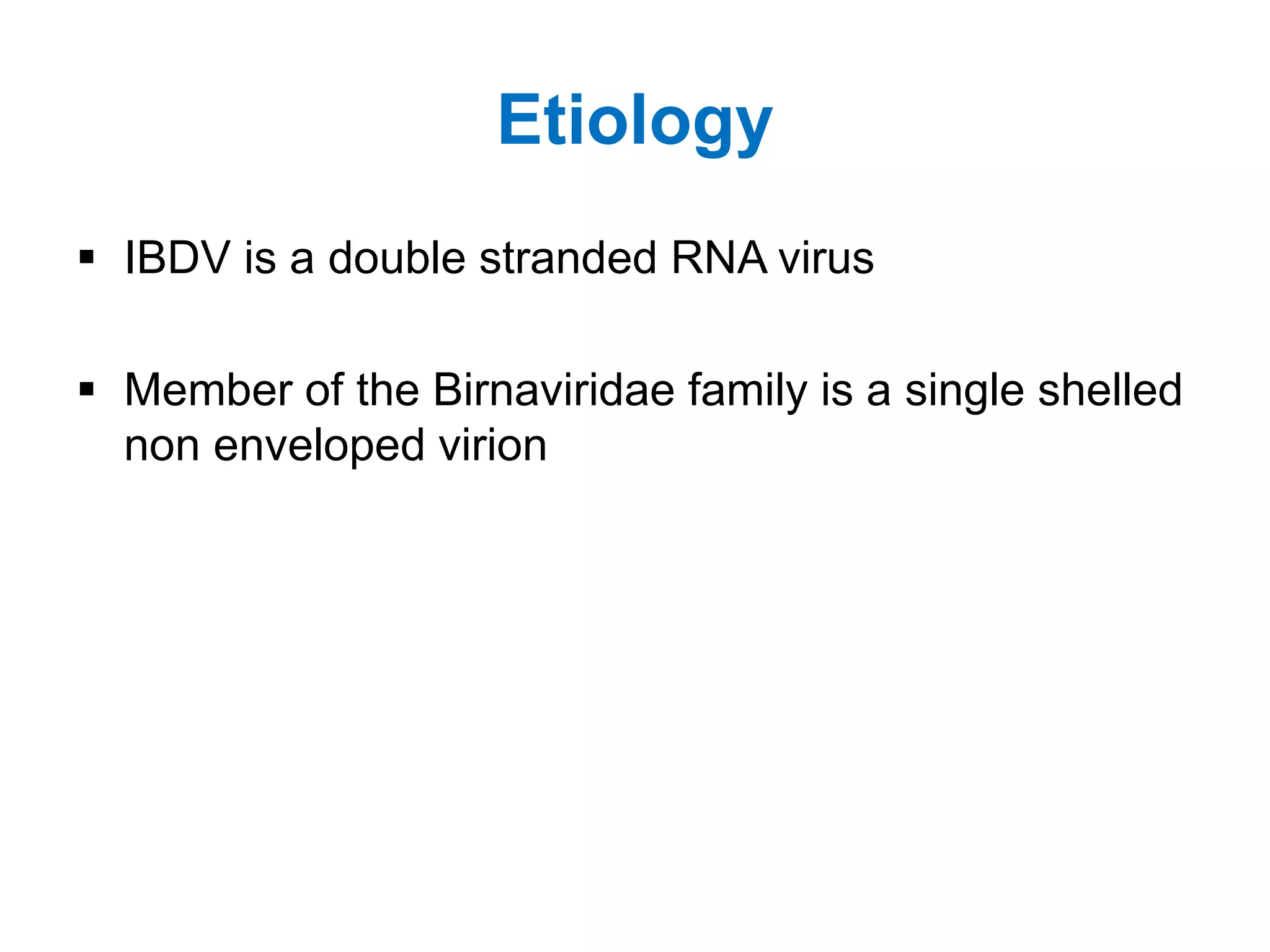 Infectious Bursal Disease | PPTX