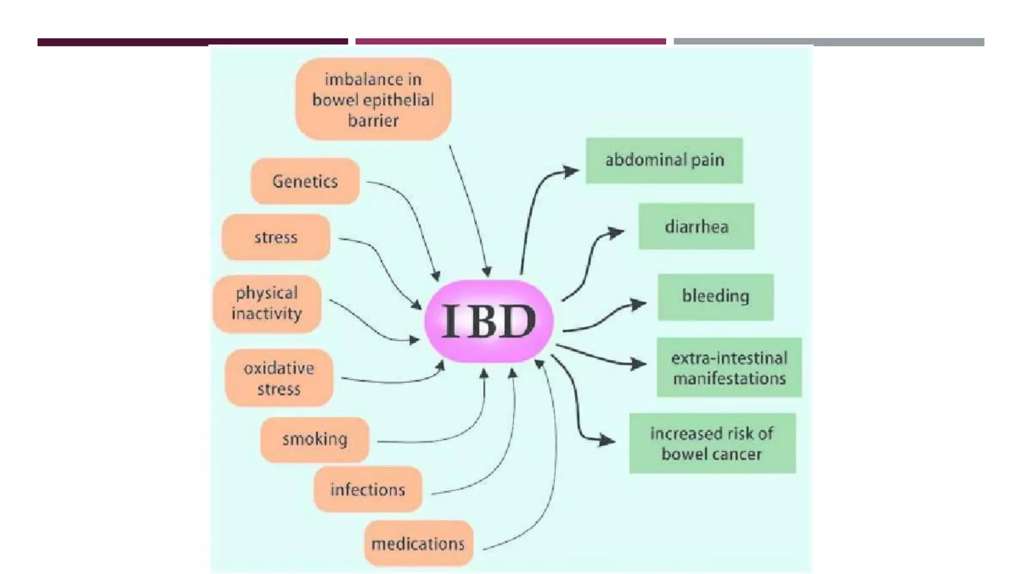 IBD.pptx