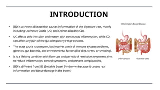 IBD Clinical Overview: Etiology, Symptoms, Diagnosis, and Management | PPTX