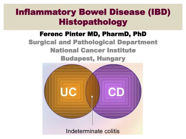 Inflammatory Bowel Disease (IBD) Histopathology | PPTX