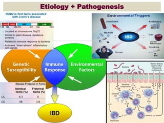 Inflammatory Bowel Disease (IBD) Histopathology | PPTX