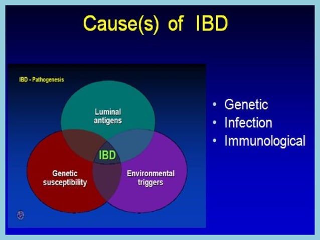 Inflammatory Bowel Disease (IBD) Explanation | PPTX