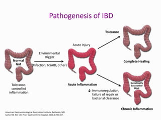 ibd-presentation-150417082301-conversion-gate02.pptx