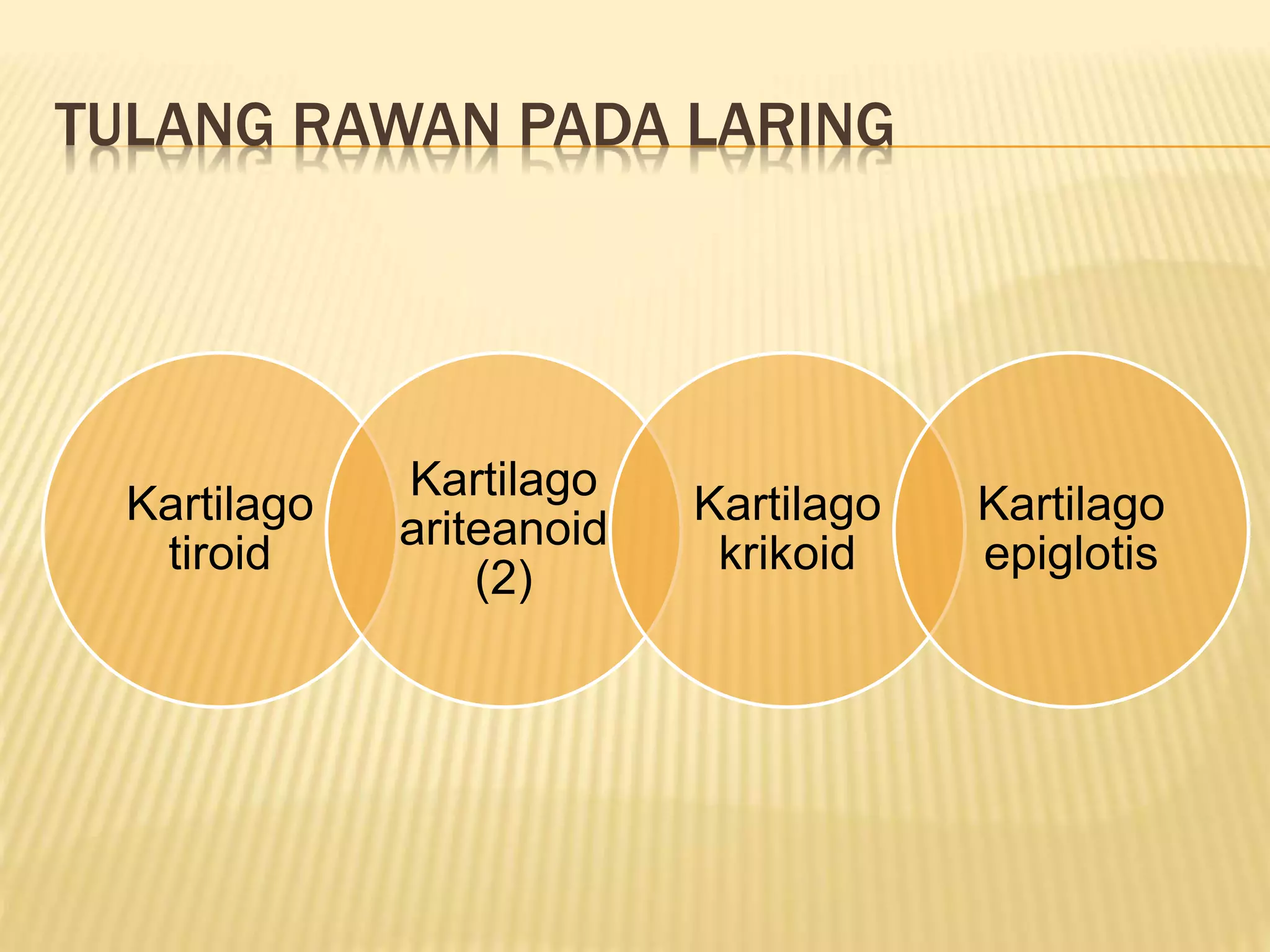 IBD (Bu IGA) - Anatomi & Fisiologi Sistem Pernapasan.pptx