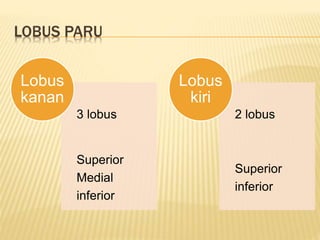 IBD (Bu IGA) - Anatomi & Fisiologi Sistem Pernapasan.pptx