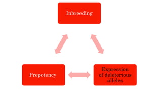 Effects of Inbreeding & Inbreeding depression | PPTX
