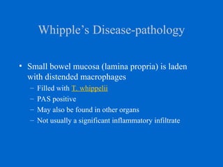 IBD___malabsorption pathology lecture.ppt