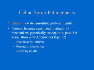 IBD___malabsorption pathology lecture.ppt