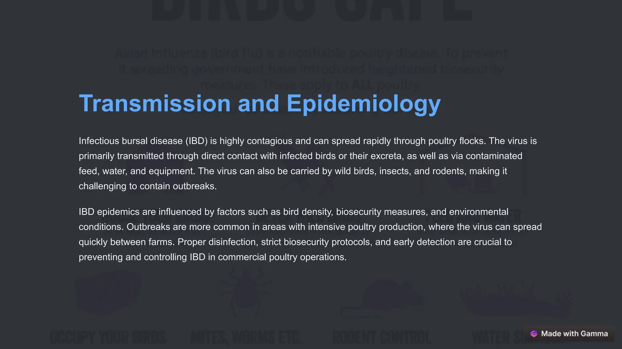 Infectious bursal disease ( gumboro ), IBD | PPTX