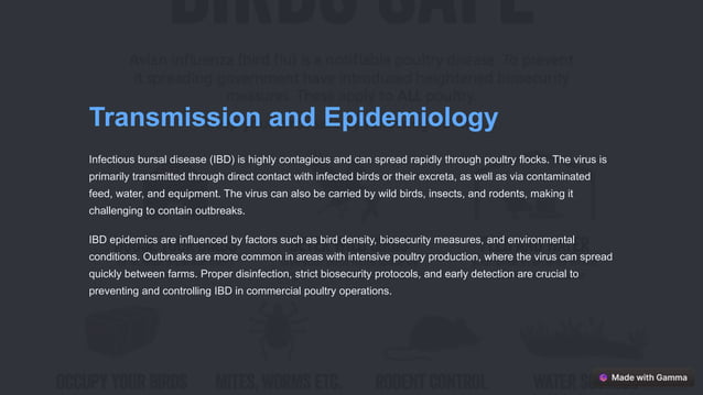 Infectious bursal disease ( gumboro ), IBD | PPTX | Infectious Diseases ...