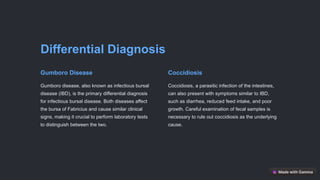 Infectious bursal disease ( gumboro ), IBD | PPTX