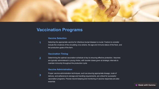 Infectious bursal disease ( gumboro ), IBD | PPTX | Infectious Diseases ...