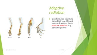 Evolution 5.4 cladistics /IBDP core/ | PPTX