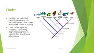 Evolution 5.4 cladistics /IBDP core/ | PPTX