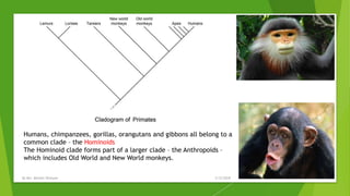 Evolution 5.4 cladistics /IBDP core/ | PPTX