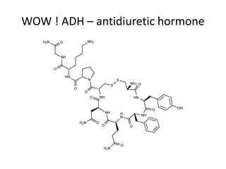 Ibdp hormones | PPTX