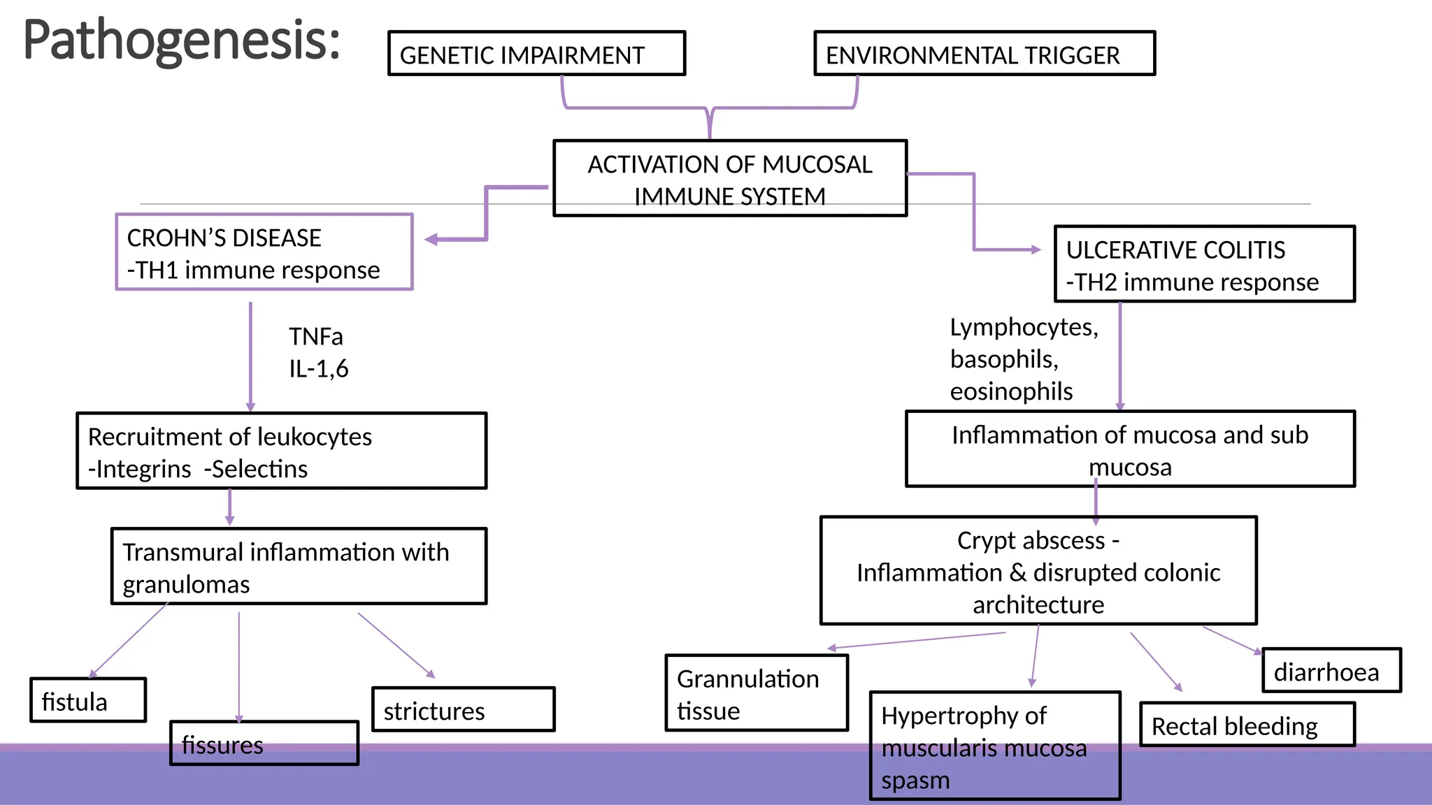 IBD- Inflammatory bowel disease. 2 types - ulcerative colitis and crohn ...