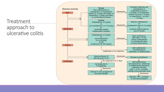 IBD- Inflammatory bowel disease. 2 types - ulcerative colitis and crohn's disease. | PPTX