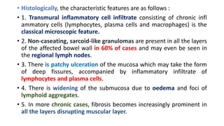 Inflammatory Bowel Disease _RDP | PPT