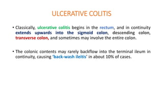 Inflammatory Bowel Disease _RDP | PPTX